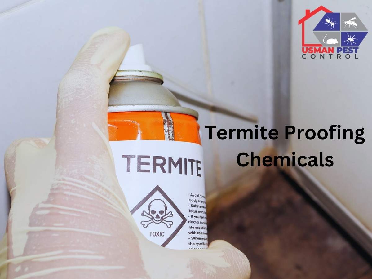 Termite Proofing Services in Lahore - Usman Pest Control