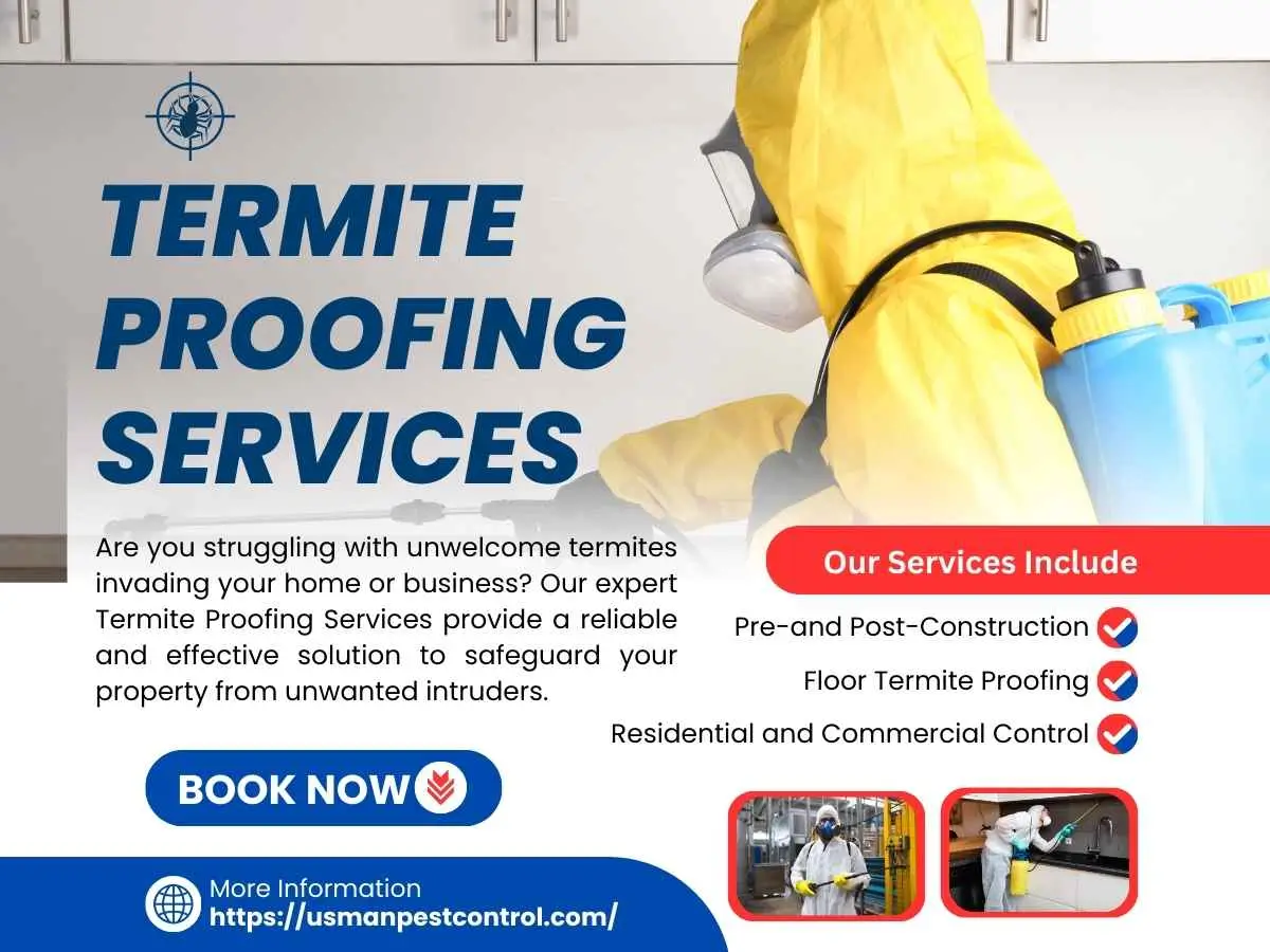 Termite Proofing Services in Lahore - Usman Pest Control