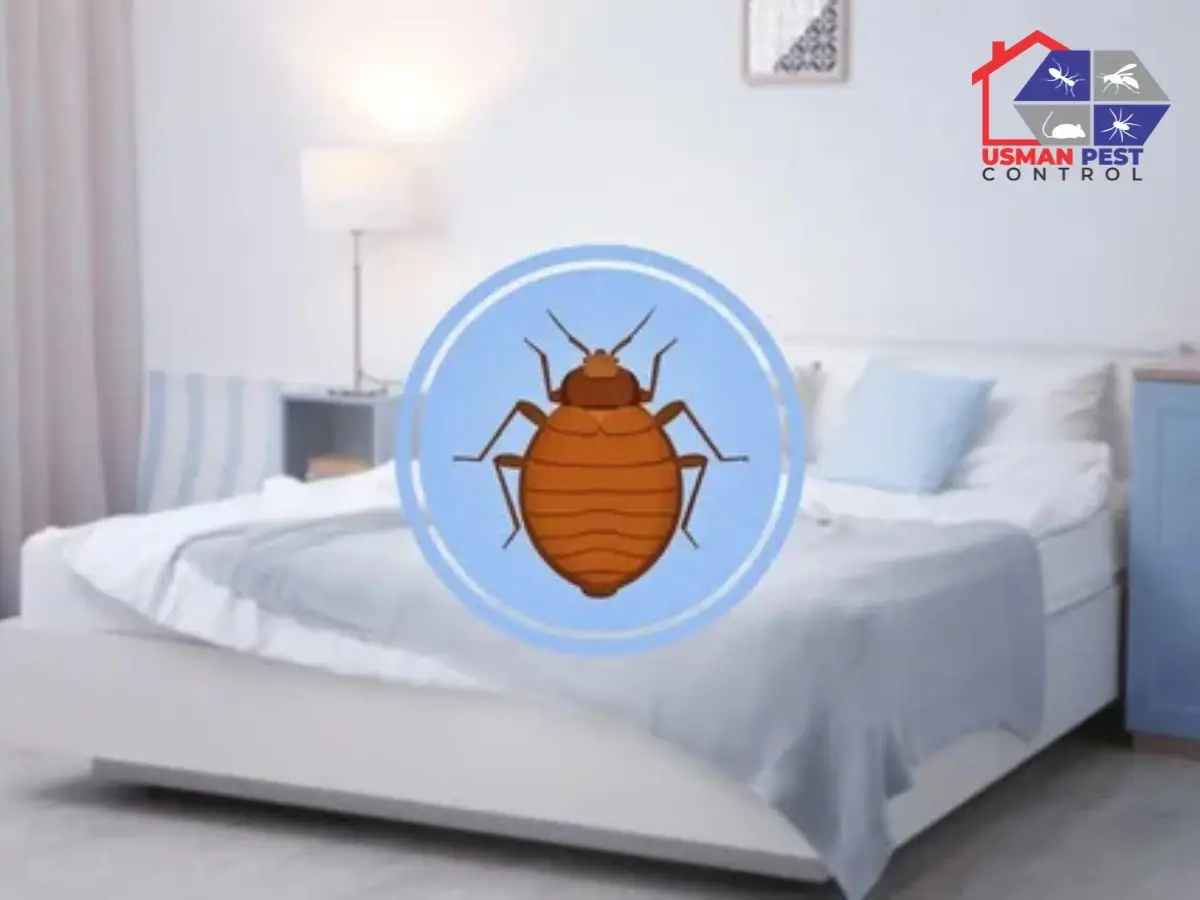 Bed Bug Treatment and Control Services in Lahore
